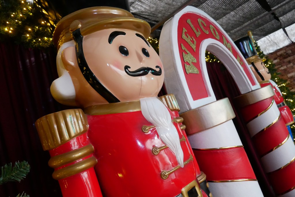 RedFox Garden World | Events