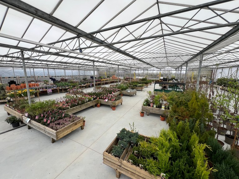 RedFox Garden World | News